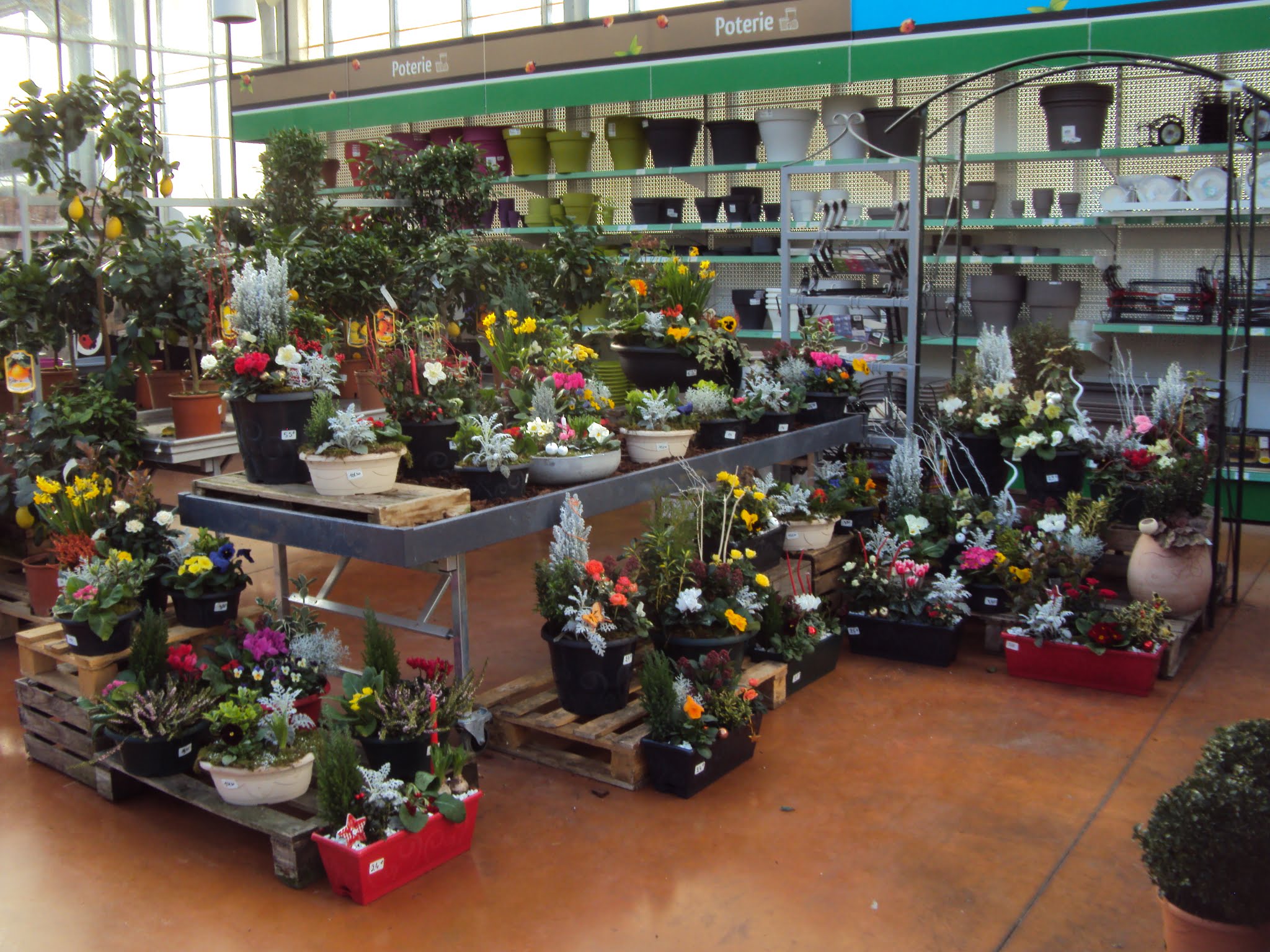 DSC00988 - Jardi Pradel - Jardinerie et fleuriste à Bagnères-de-Luchon