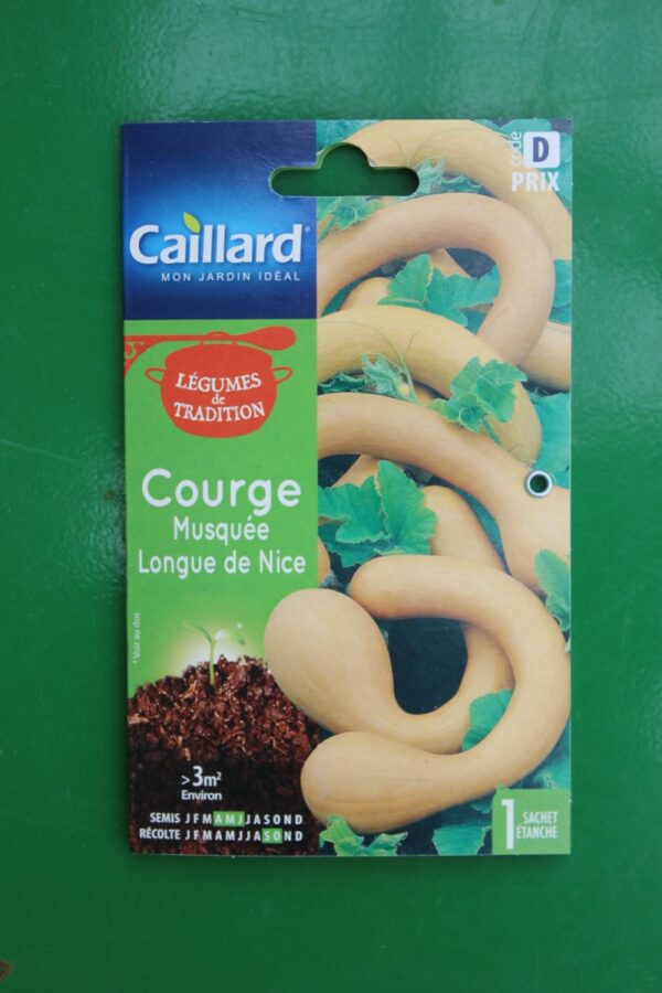Courge Musquee Longue de Nice - Jardi Pradel - Jardinerie et fleuriste ...