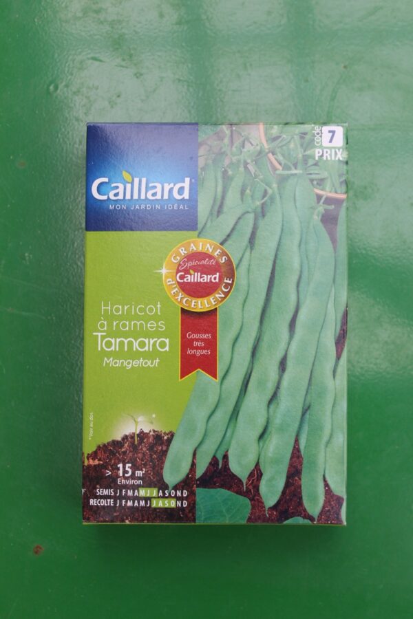 Haricot à rames Tamara - Jardi Pradel - Jardinerie et fleuriste à ...