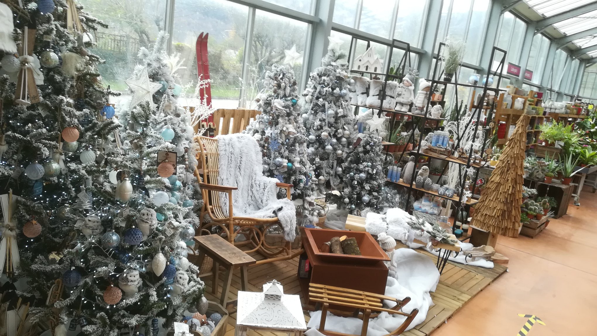 Noel 2020 - Jardi Pradel - Jardinerie et fleuriste à Bagnères-de-Luchon