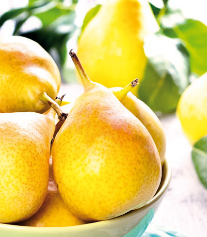 Poire williams scion - Jardi Pradel - Jardinerie et fleuriste à ...