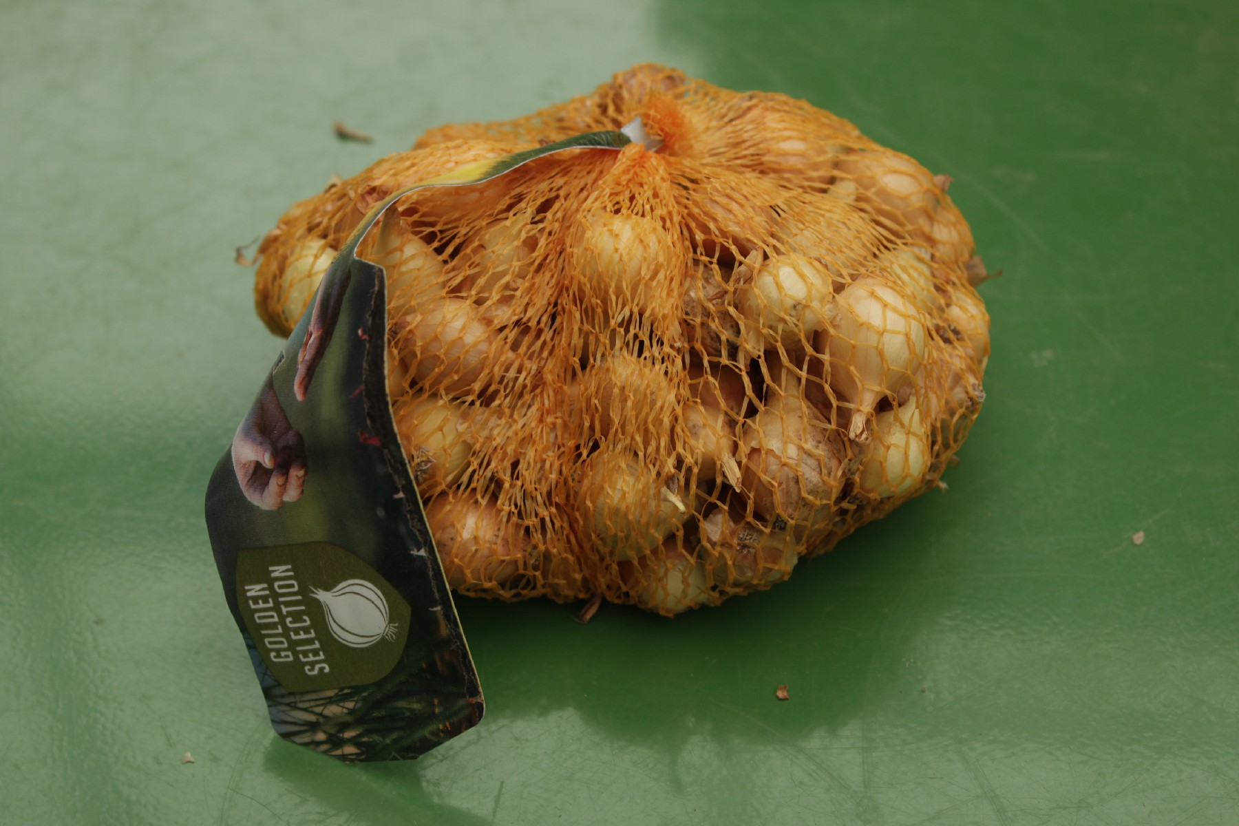 Oignon Stuttgarter 250g - Jardi Pradel - Jardinerie et fleuriste à ...