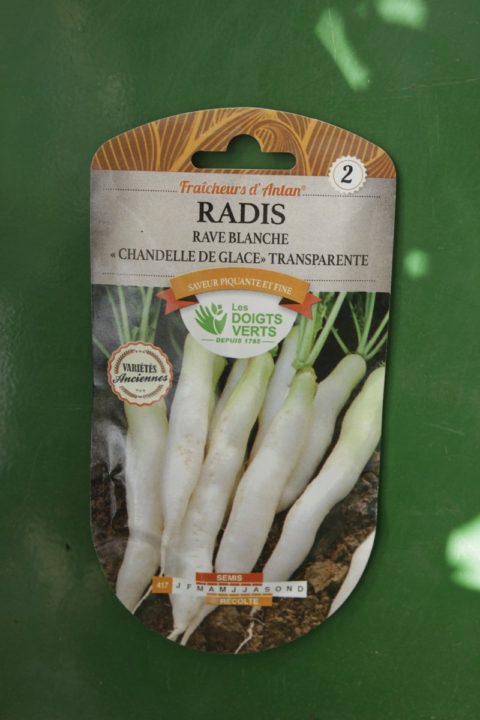 Radis rave blanche chandelle de glace transparente - Jardi Pradel ...