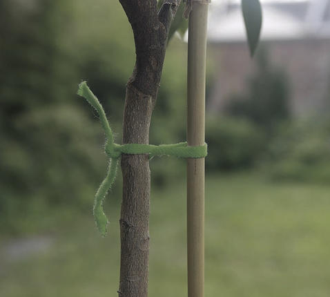 Lien Tube Bio 35m Nortene - Jardi Pradel - Jardinerie et fleuriste à Bagnères-de-Luchon